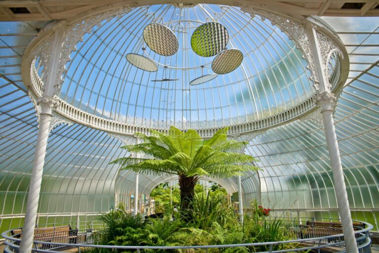 Glasgow Botanic Gardens - Our Glasgow