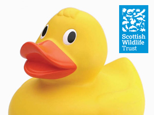 Easter Duck Race - Our Glasgow